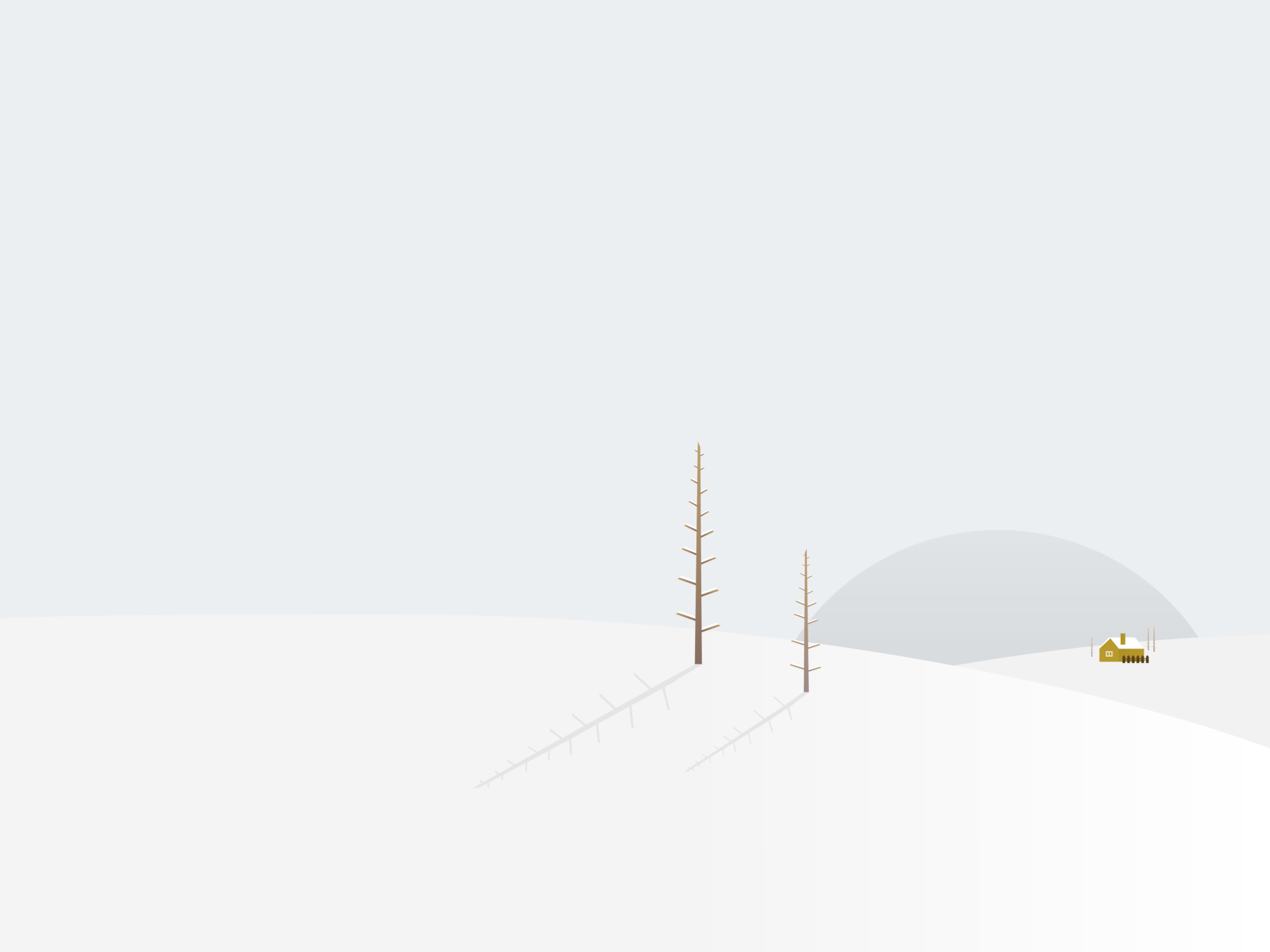 Koeda Studio - Design agency